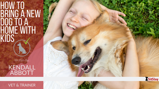 How to Bring a New Dog to a Home With Kids – SitStay
