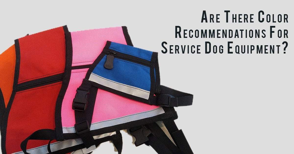 Are there color recommendations for Service Dog equipment and gear ...