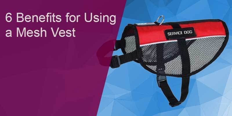 Six Benefits for Using a Mesh Vest – SitStay