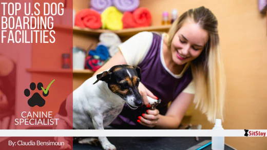 Top US Dog Boarding Facilities – SitStay